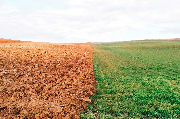 Consejos Para Saber Si El Suelo Es Fértil